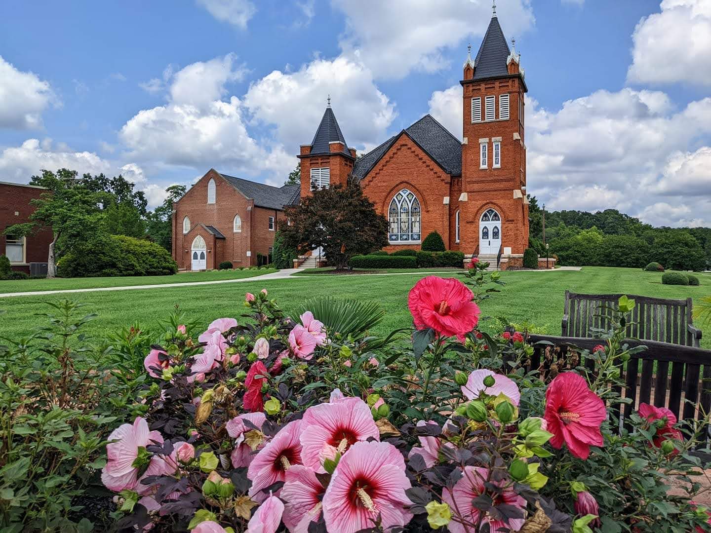 LIVE – TOWN OF MOUNT GILEAD LIVE – TOWN OF MOUNT GILEAD